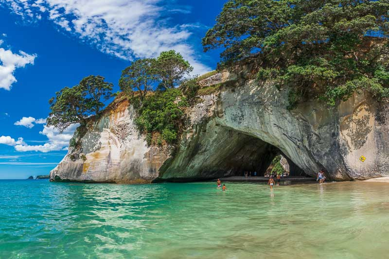 Coromandel Peninsula Day Tour From Auckland Discount | Backpacker Deals